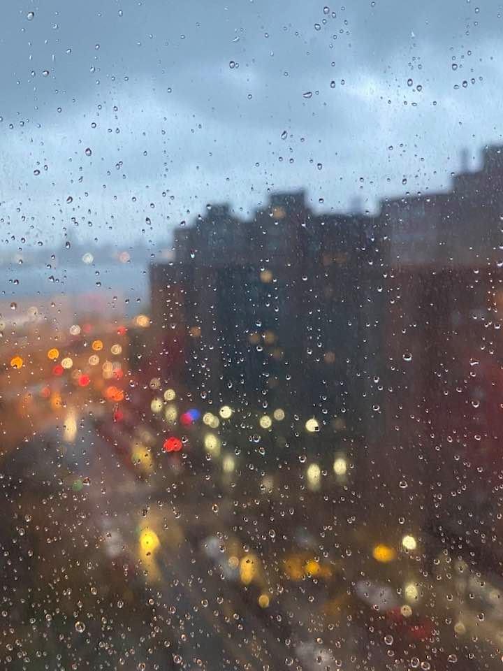 Photo Blog – Elizabeth Mailer